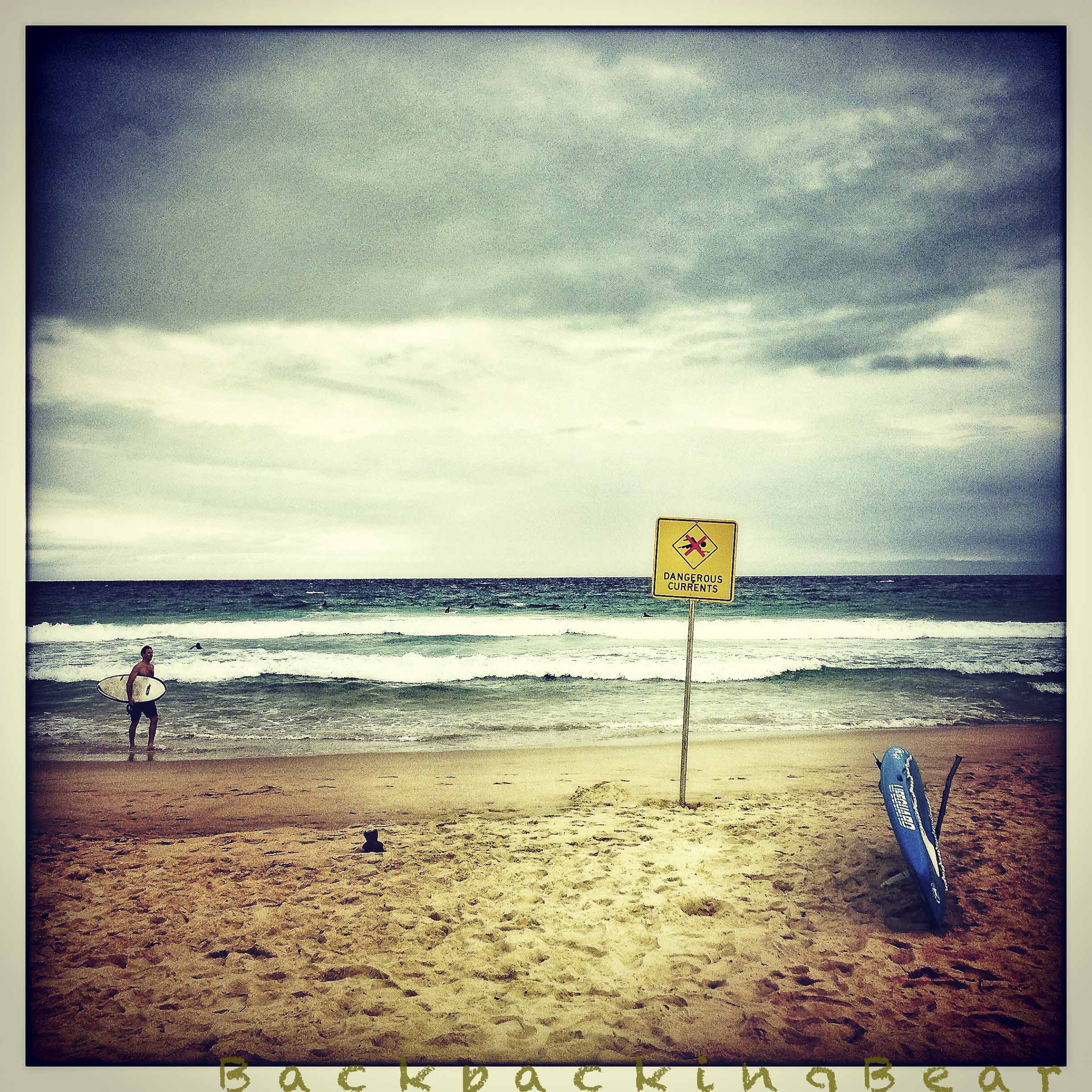 Joe Louis guards bondi beach: Backpacking Bear